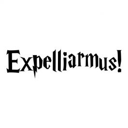Harry potter - Expelliarmus! muursticker raamsticker