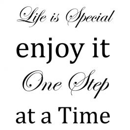 One step muursticker raamsticker